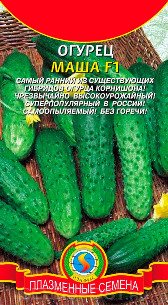 Огурец Маша F1, 5 шт., купить в интернет магазине Seedspost.ru