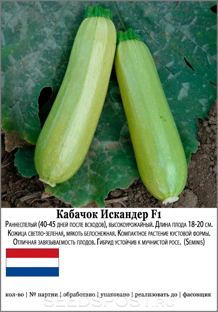 Кабачок Искандер F1, 5 шт. Мировые хиты Seminis Элитные семена, купить ...