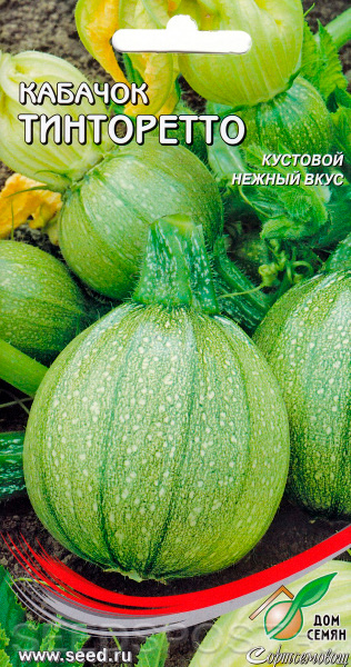 Кабачок Тинторетто, 8 шт. , купить в интернет магазине Seedspost.ru